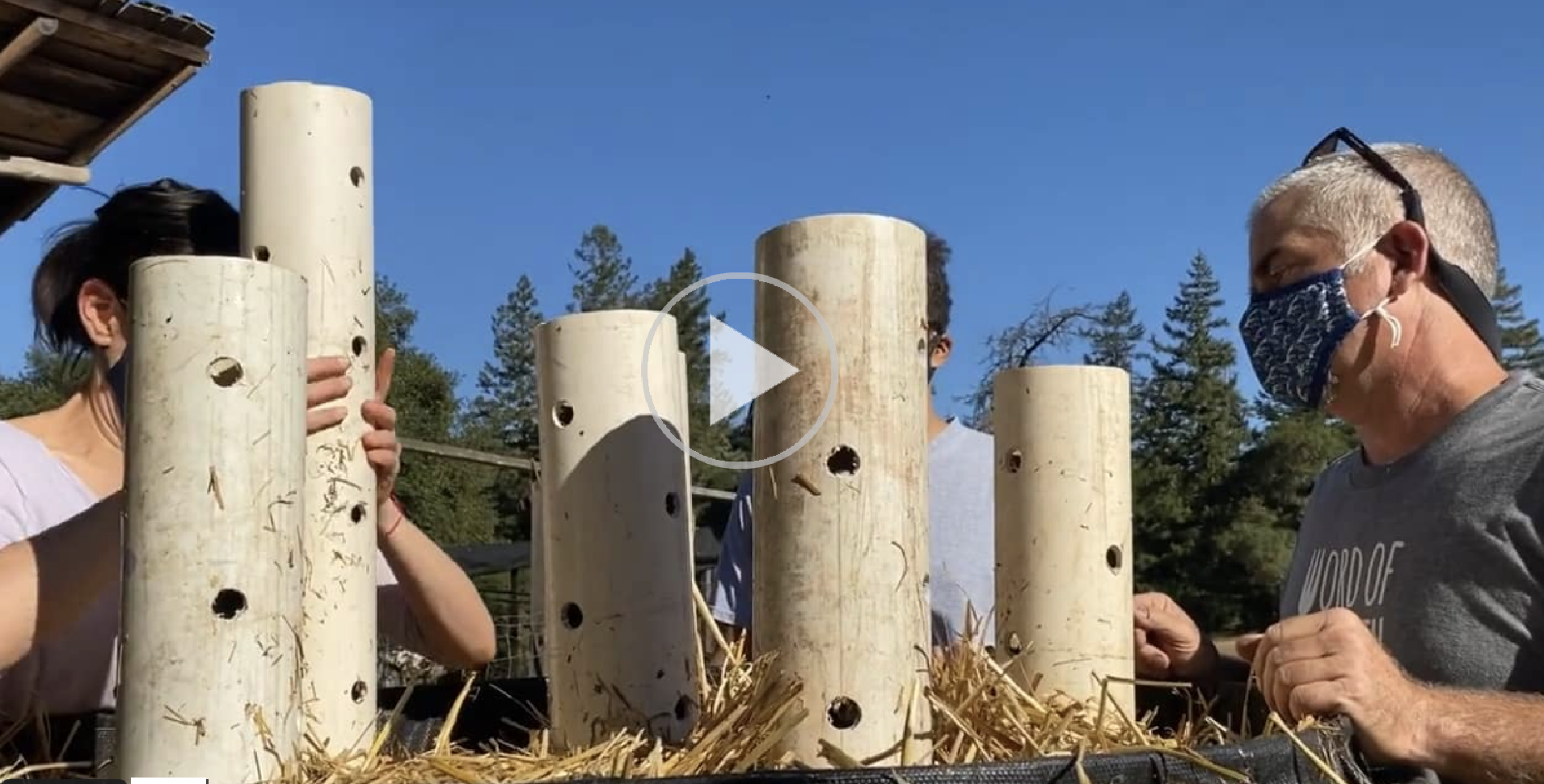 Making Compost Video: Johnson Su Bio Reactor II - Unconditional Freedom