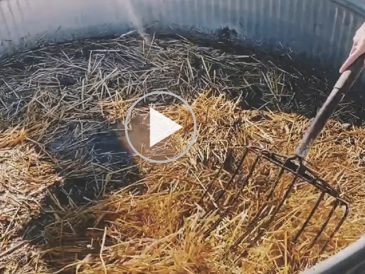 Making Compost Video: Johnson Su Bio Reactor - Unconditional Freedom