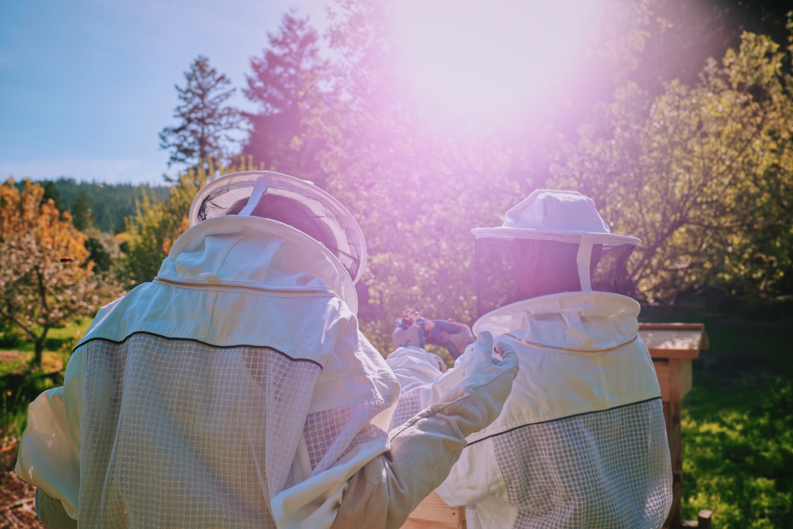 New Italian Bees - Unconditional Freedom