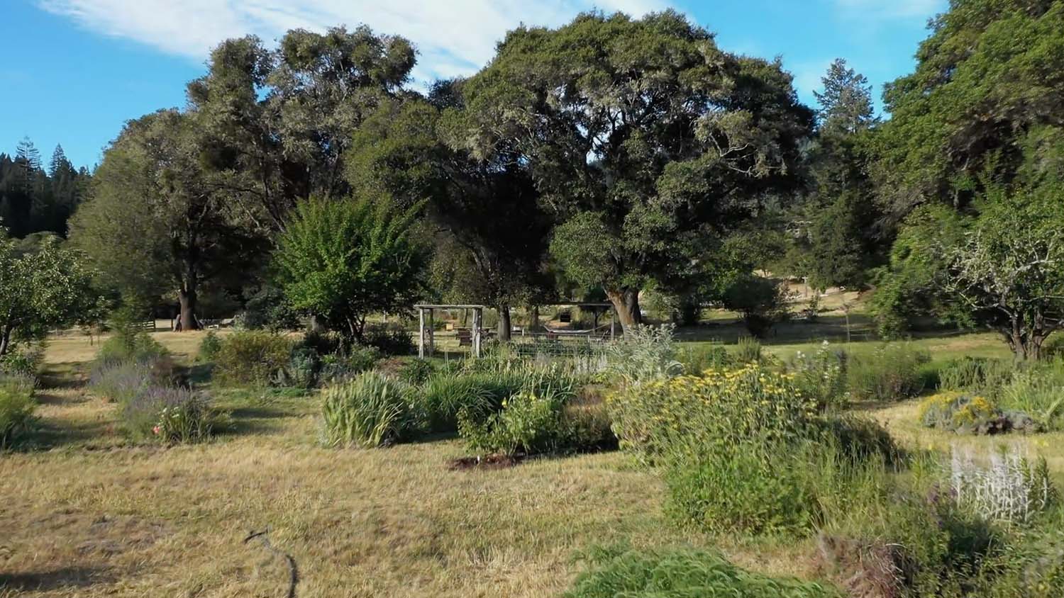 Earth Video - Unconditional Freedom