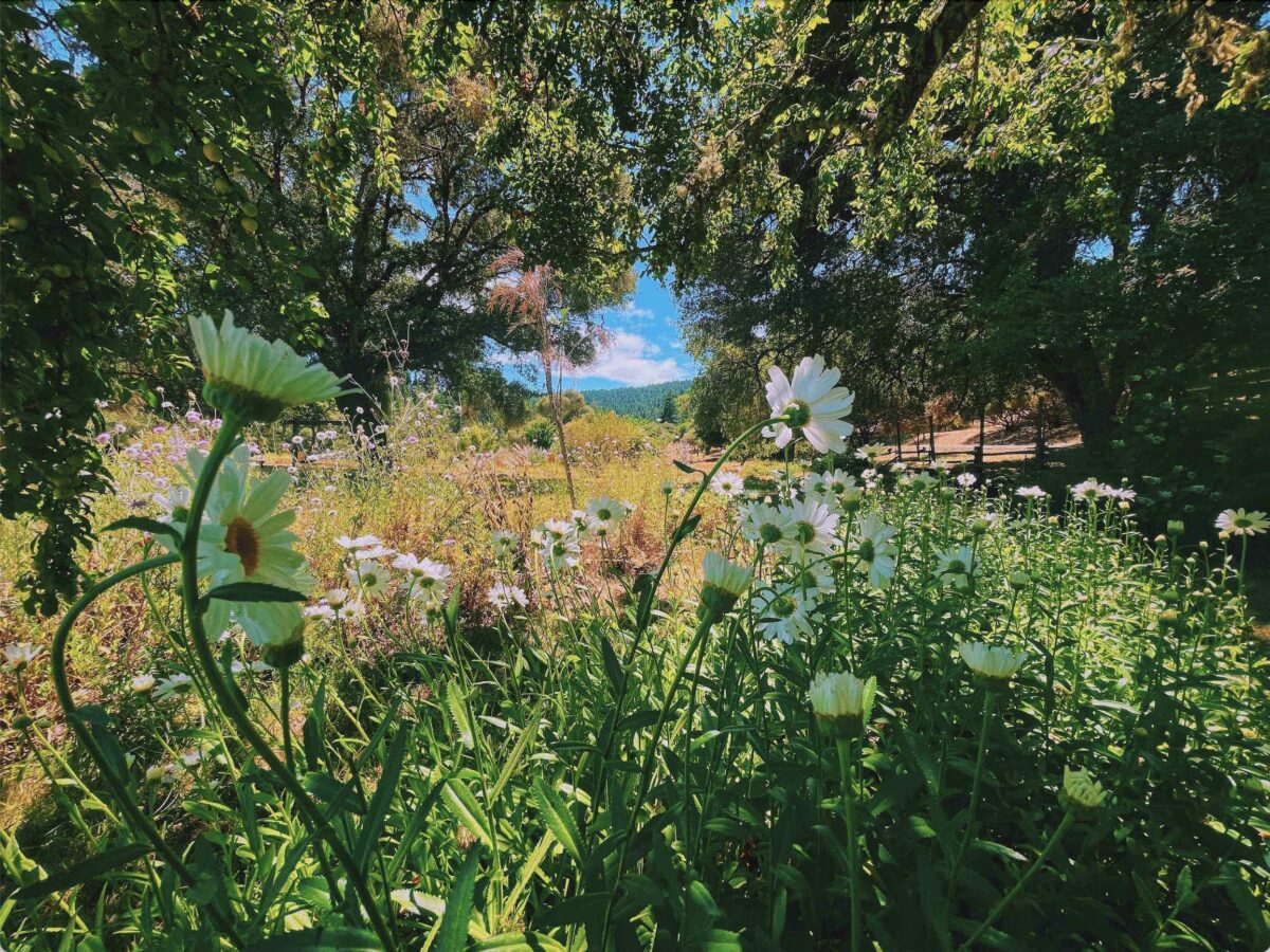 Letters - Unconditional Freedom